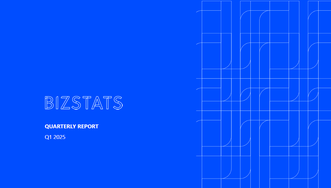 Bizstats Quarterly Report: Q1 2025 - Bizstats